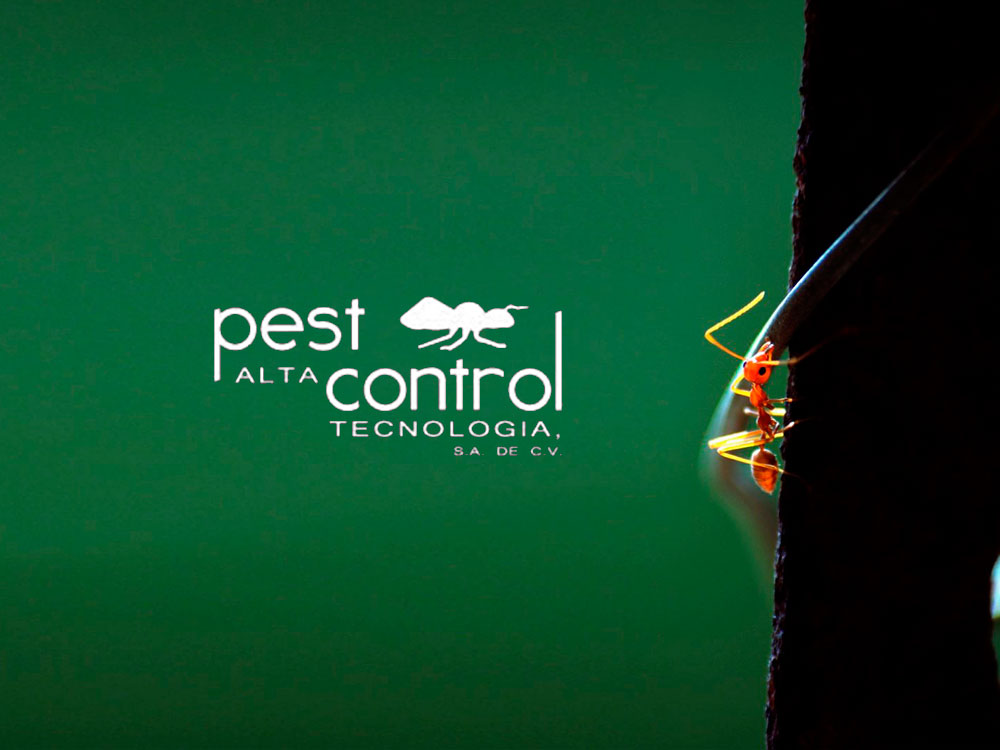 Pest Control System - ProWeb Merida